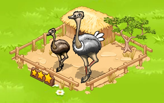 Ostrich | Mini Pets Wiki | Fandom