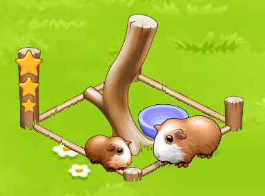 Guinea Pig | Mini Pets Wiki | Fandom