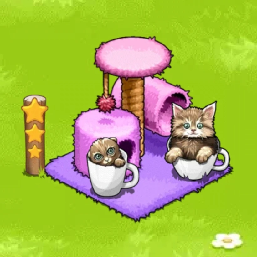 Teacup Cat | Mini Pets Wiki | Fandom