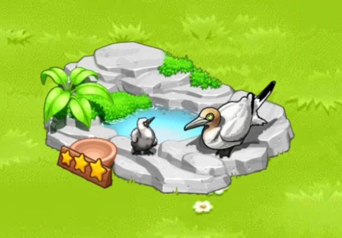 Gannet | Mini Pets Wiki | Fandom