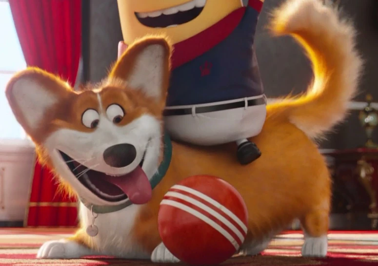Corgi (Minions) | Illumination Entertainment Fanon Wiki | Fandom
