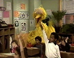 Sesame Street Episode 1446 | Minip Wiki | Fandom