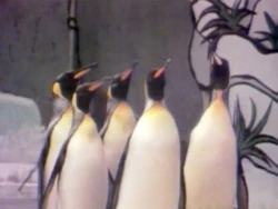 Sesame Street Episode 1449 | Minip Wiki | Fandom