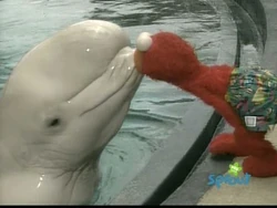 Episode 1999-223 08-11-1999 | Minip Wiki | Fandom