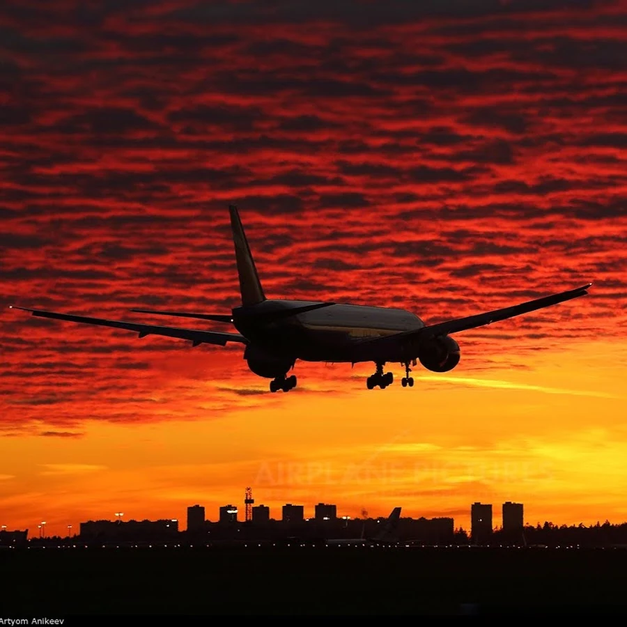 SP64 | Minitubia | Fandom