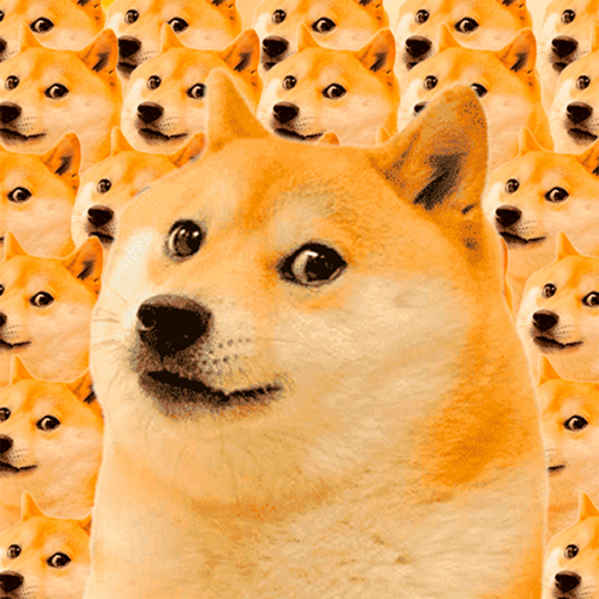 Tntblock8 | Minitubia | Fandom