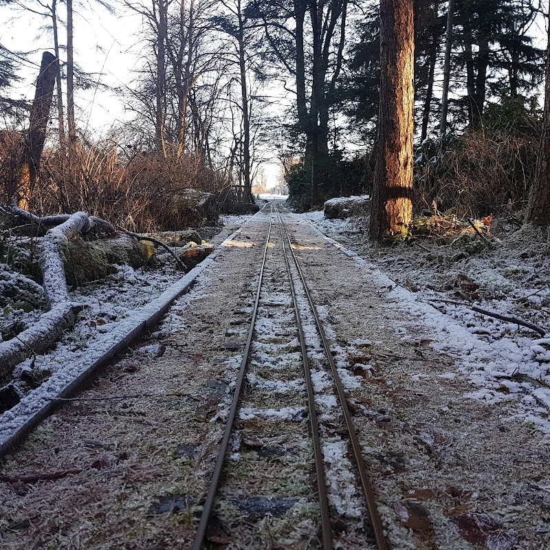 Lee Sutherland | Minitubia | Fandom