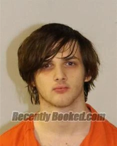 Hippo master | Minitubia | Fandom