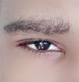 Raja2 | Minitubia | Fandom