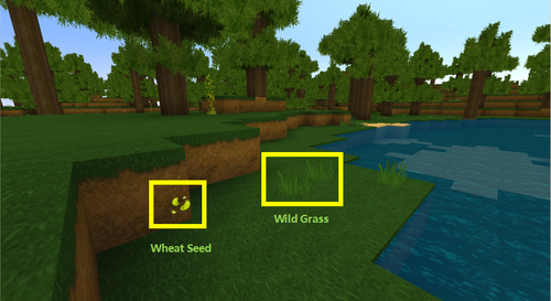 Newbie Tutorial Day 2 - Official Mini World: CREATA Wiki