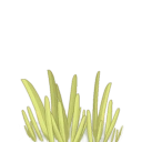Grass - Official Mini World: CREATA Wiki
