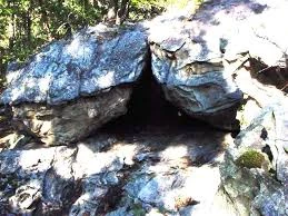 Medicine Cat Den | MinnowClan Roleplaying Wikia | Fandom