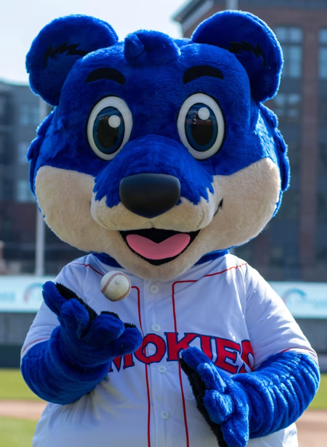 Knox | Minor League Baseball Wiki | Fandom