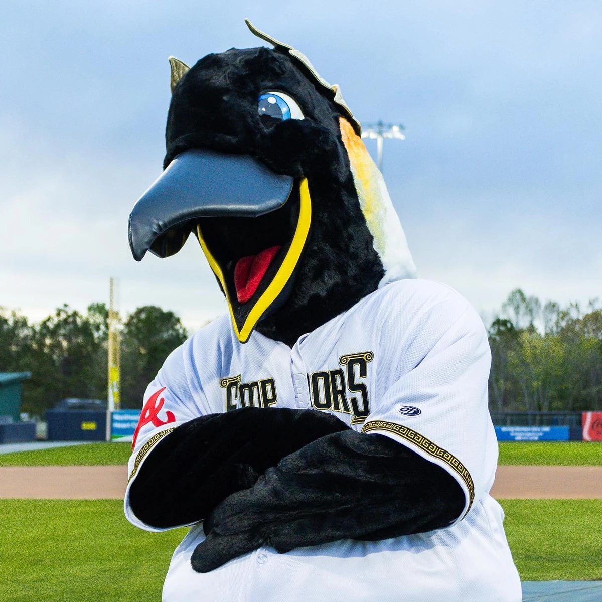 Julius | Minor League Baseball Wiki | Fandom