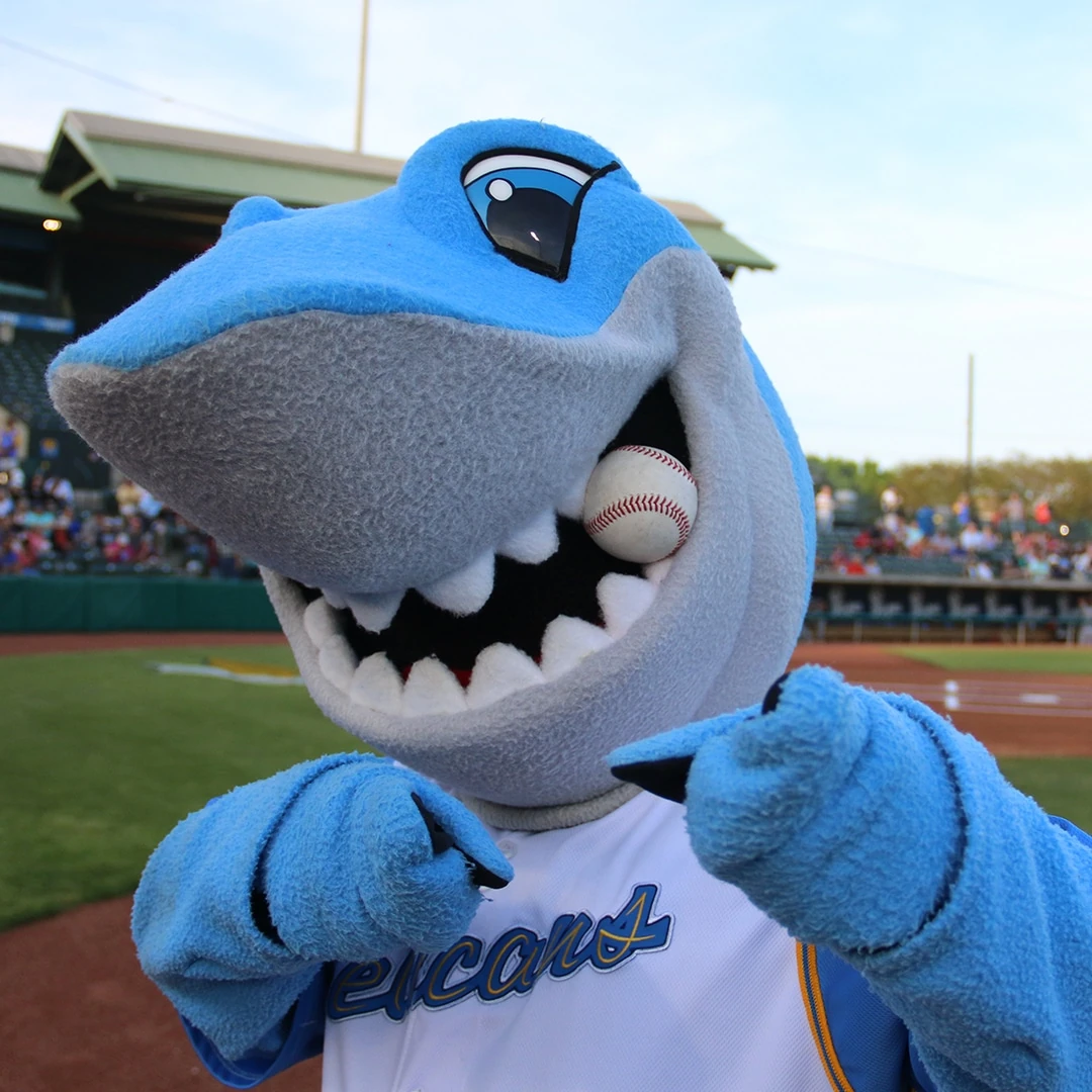 Rally Shark | Minor League Baseball Wiki | Fandom
