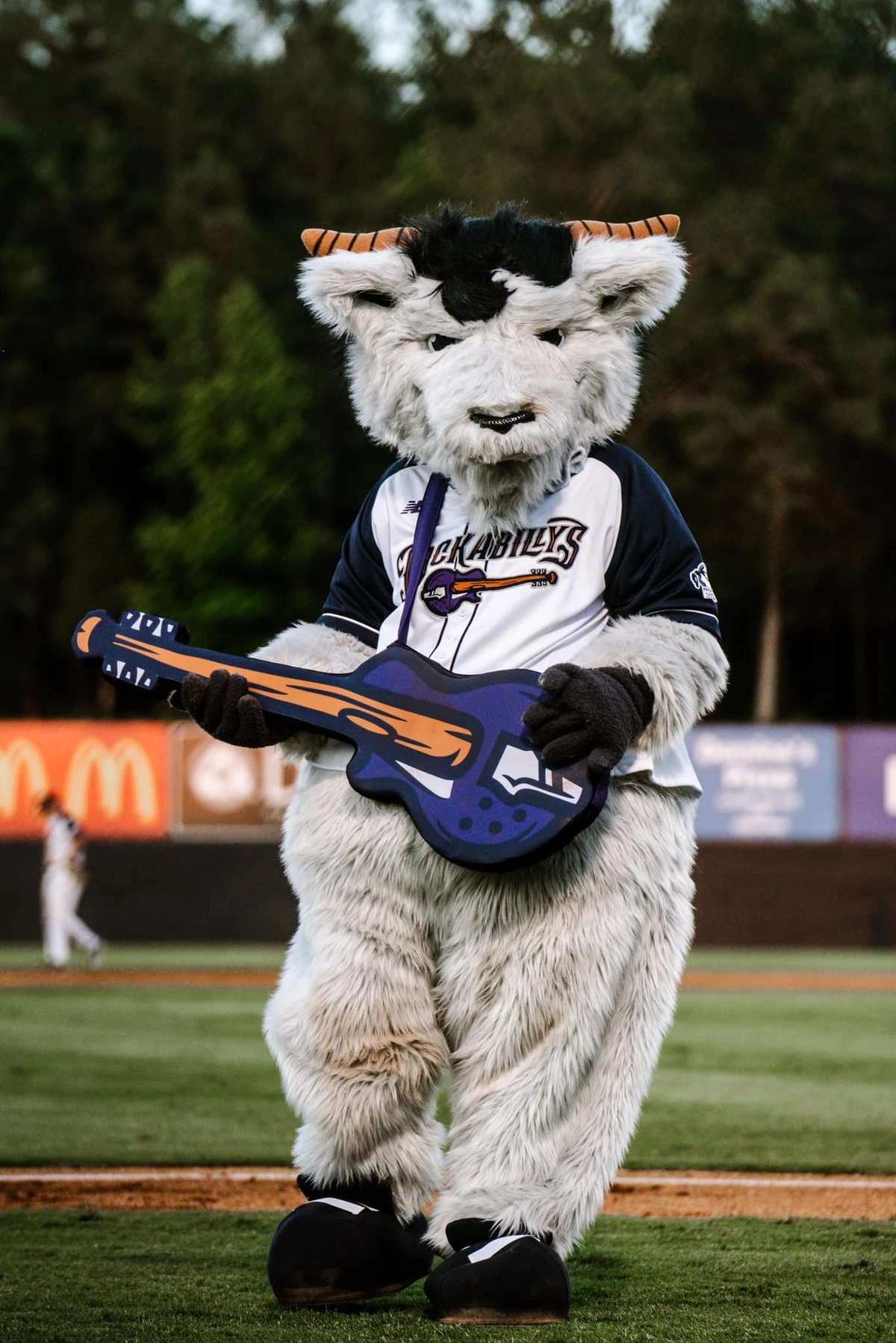 JR | Minor League Baseball Wiki | Fandom