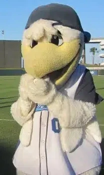 Sammy the Seagull | Minor League Baseball Wiki | Fandom
