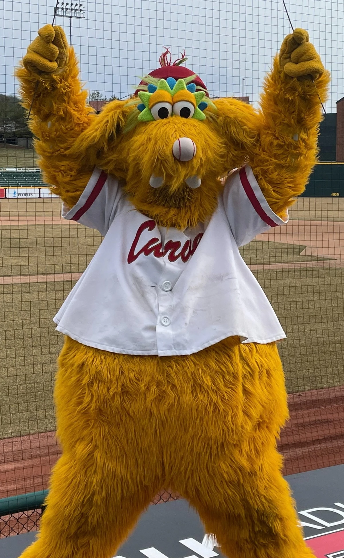 Loco | Minor League Baseball Wiki | Fandom