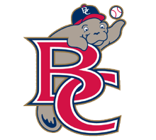 Brevard County Manatees | Minor League Baseball Wiki | Fandom