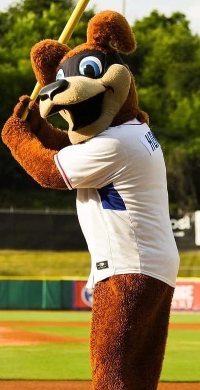 Homer Hound | Minor League Baseball Wiki | Fandom