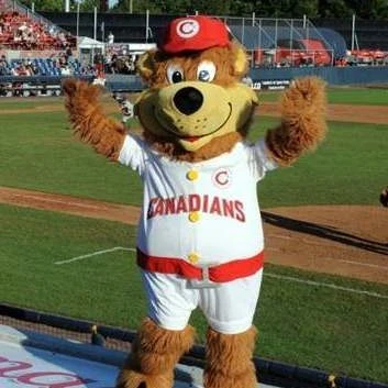 Bob Brown Bear | Minor League Baseball Wiki | Fandom
