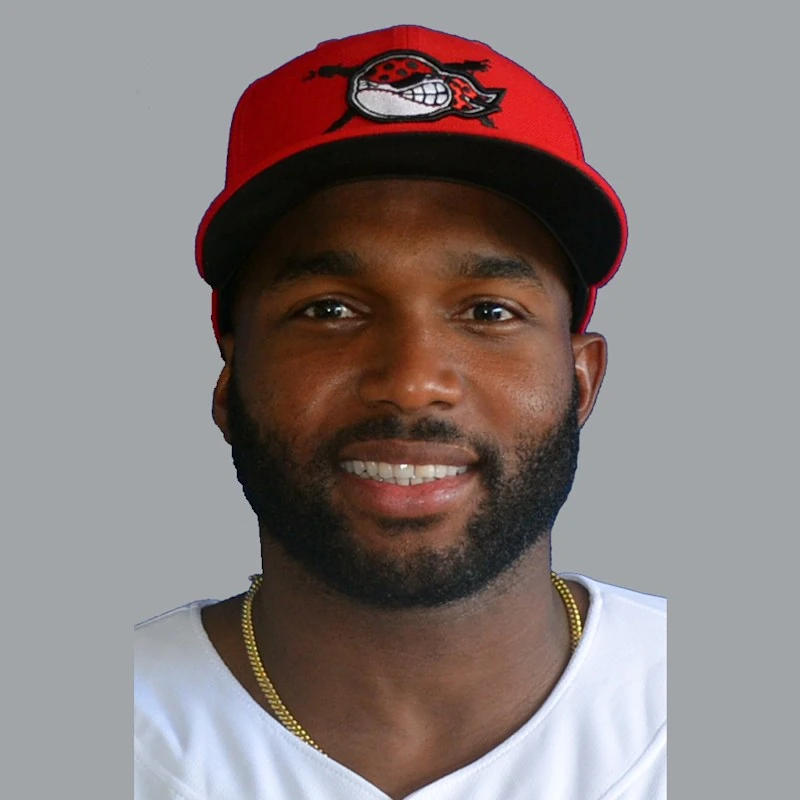 Ruben Sosa | Minor League Baseball Wiki | Fandom