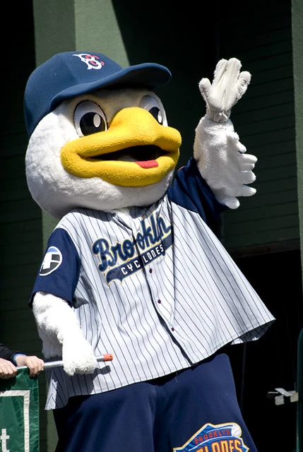 Sandy the Seagull | Minor League Baseball Wiki | Fandom