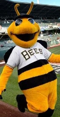 Bumble the Bee | Minor League Baseball Wiki | Fandom