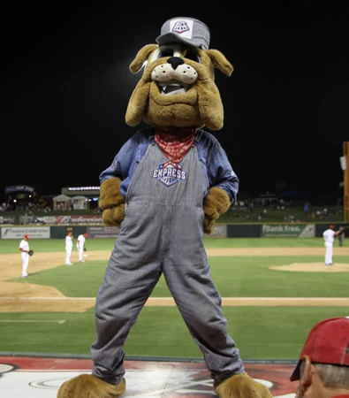 Spike the Dog | Minor League Baseball Wiki | Fandom