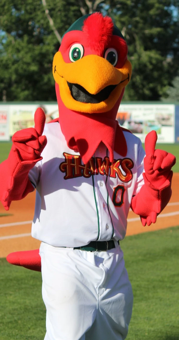 Humphrey the Hawk | Minor League Baseball Wiki | Fandom