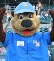 Cubbie Bear | Minor League Baseball Wiki | Fandom