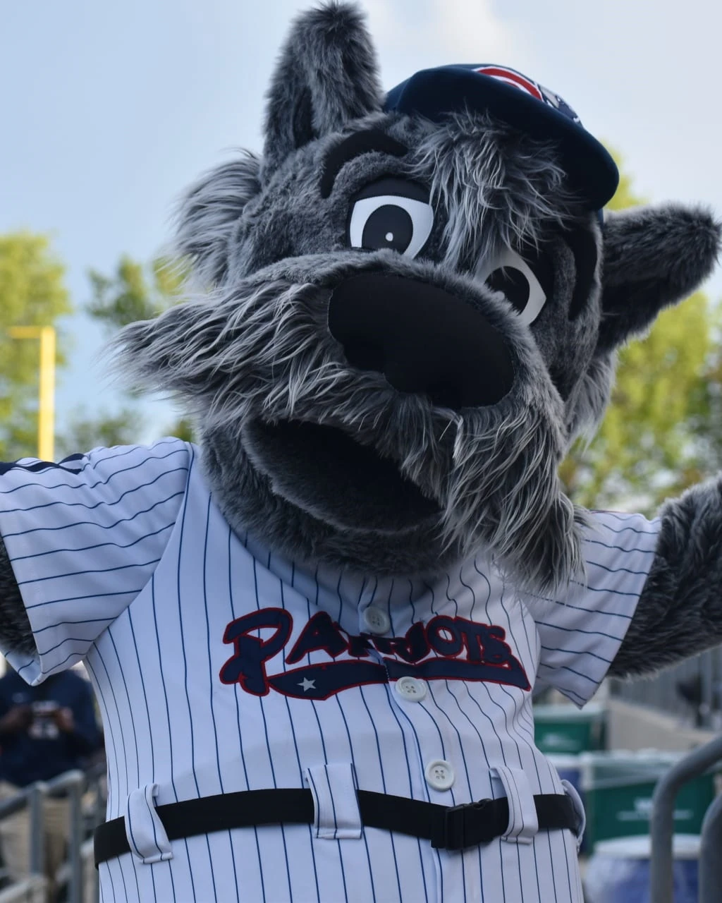 Category:MILB Mascots | Minor League Baseball Wiki | Fandom