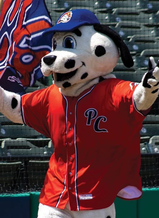 Homer the Fire Chief Dalmatian | Minor League Baseball Wiki | Fandom