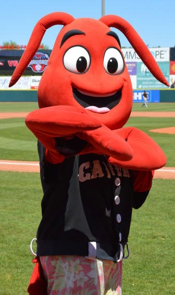 Conrad the Crawdad | Minor League Baseball Wiki | Fandom