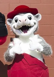 Otey | Minor League Baseball Wiki | Fandom