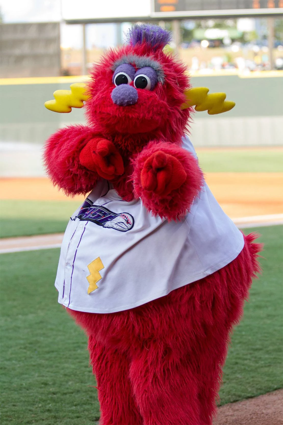 Bolt | Minor League Baseball Wiki | Fandom