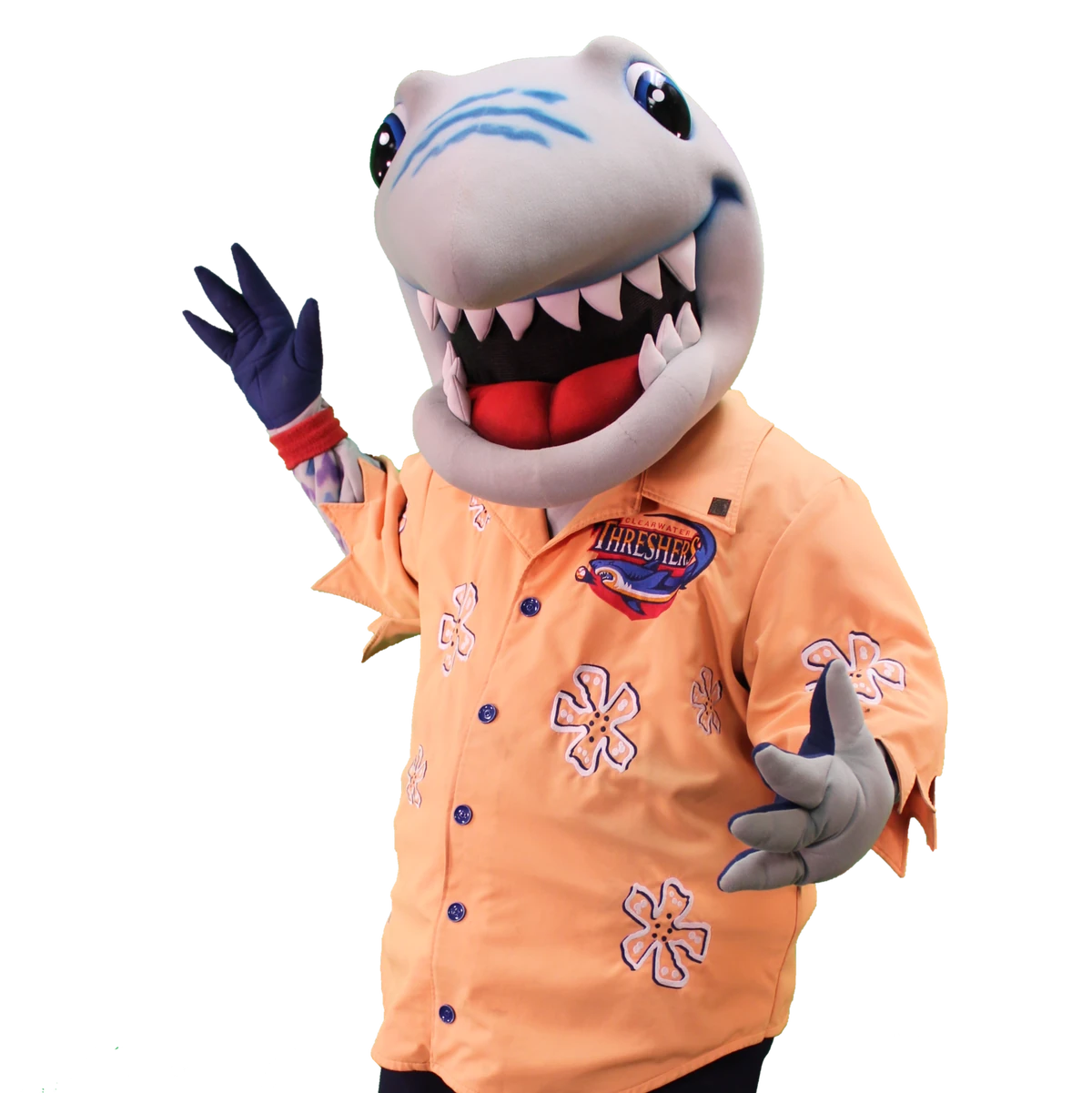 Phinley | Minor League Baseball Wiki | Fandom