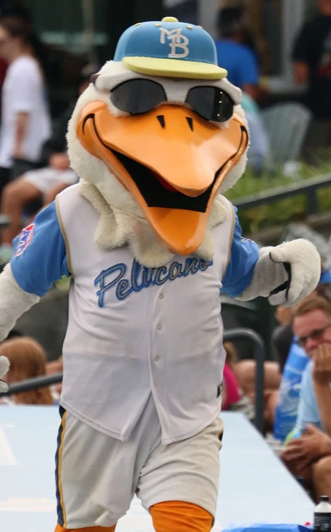 Splash (Myrtle Beach Pelicans) | Minor League Baseball Wiki | Fandom