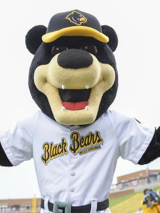 Cooper | Minor League Baseball Wiki | Fandom