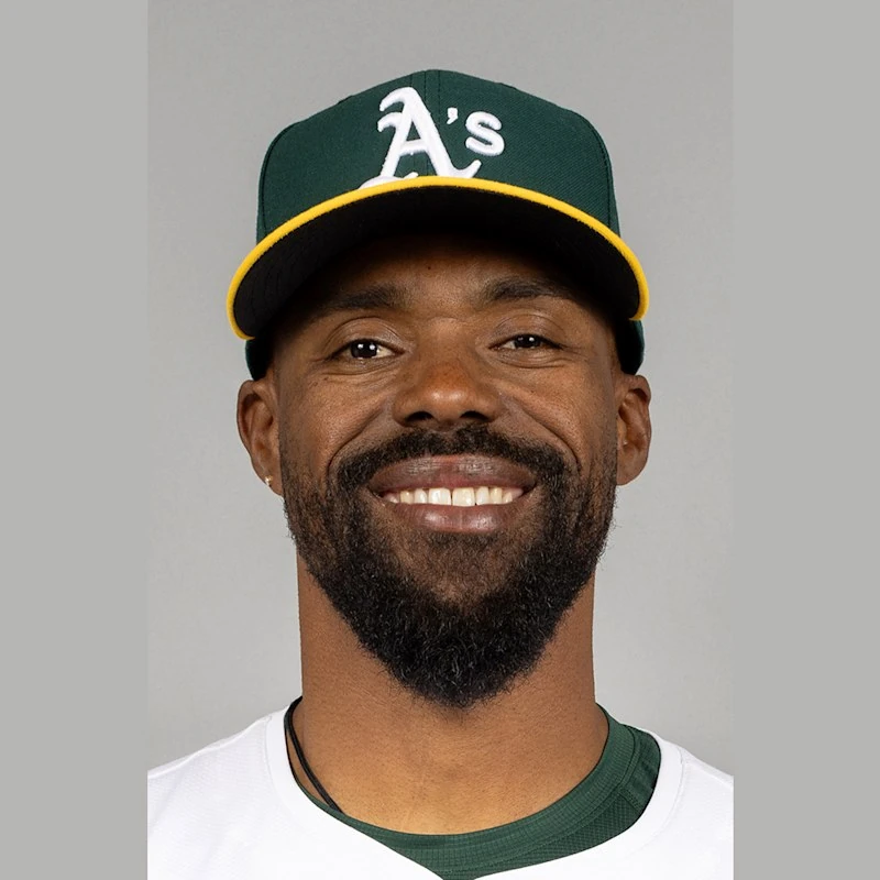 Wilkin Castillo | Minor League Baseball Wiki | Fandom