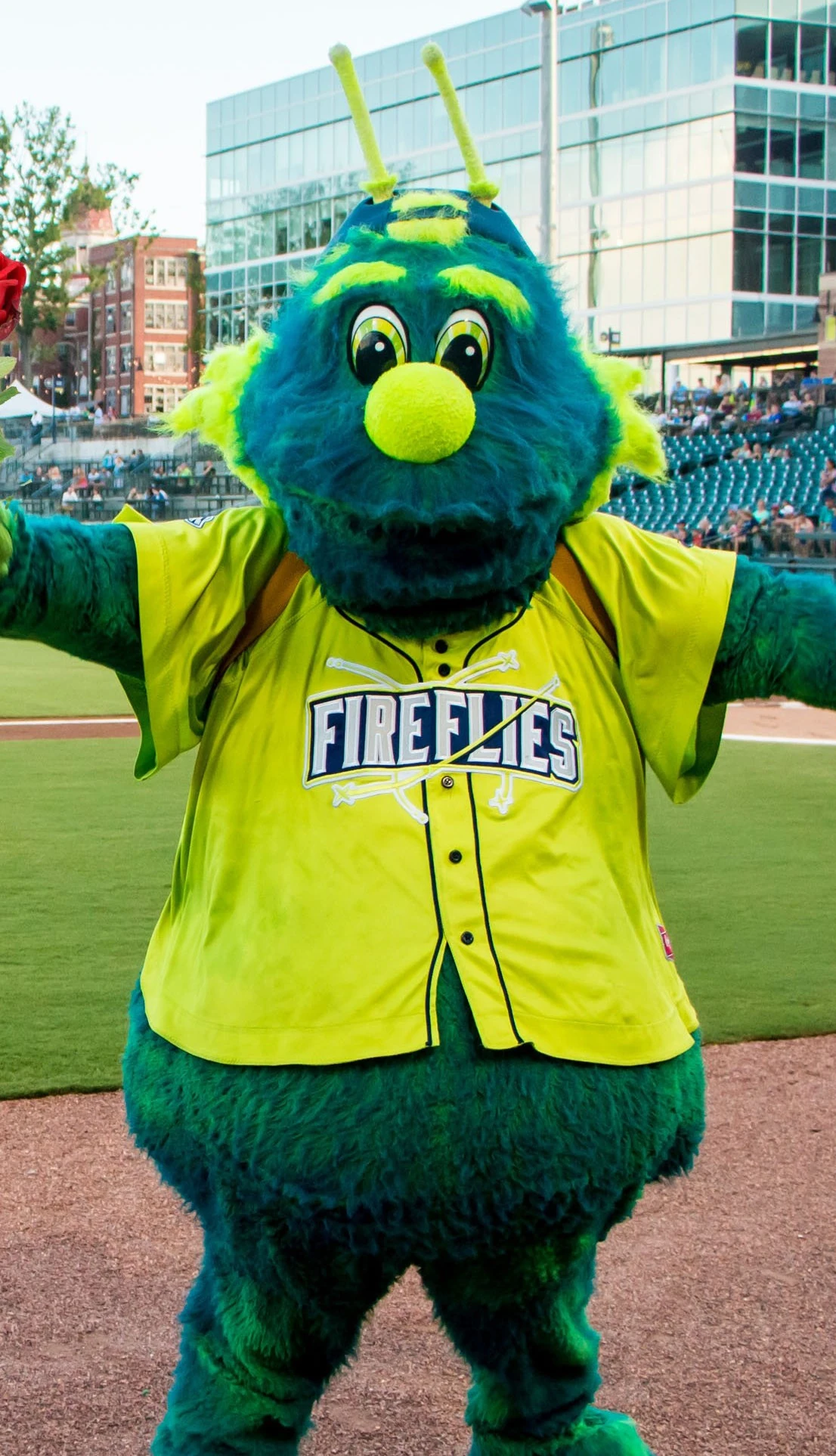 Mason The Firefly | Minor League Baseball Wiki | Fandom