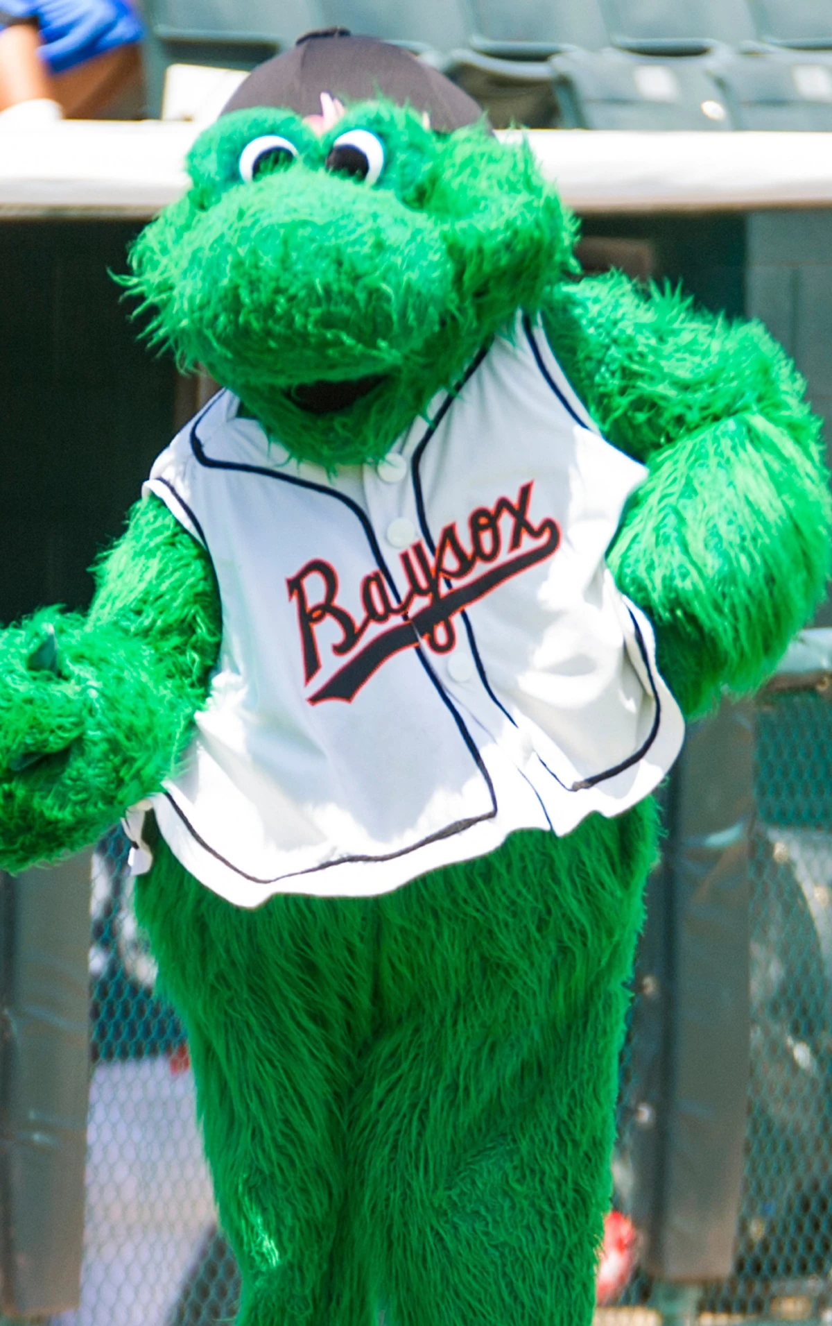 Louie (Bowie Baysox) | Minor League Baseball Wiki | Fandom