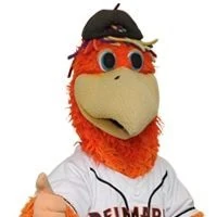 Sherman the Shorebird | Minor League Baseball Wiki | Fandom