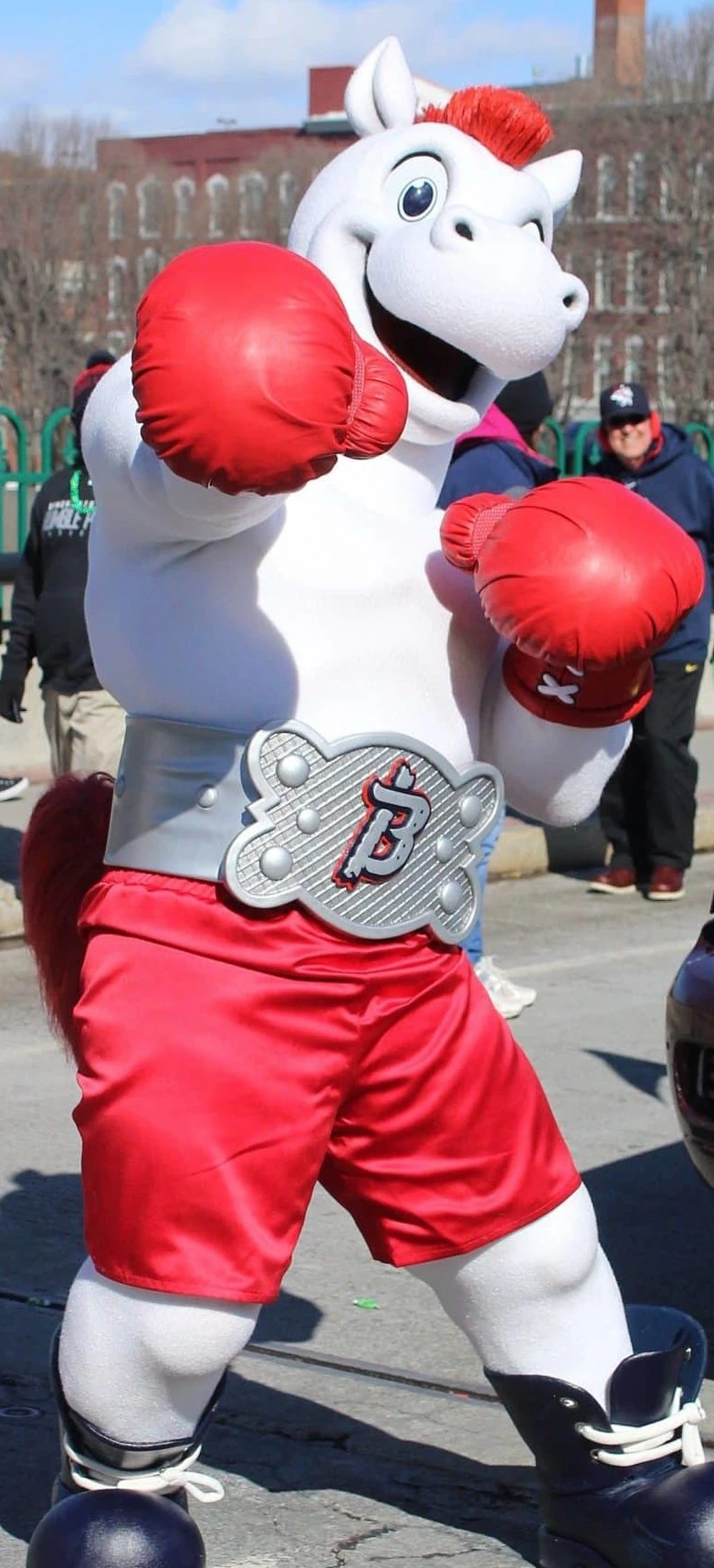 Rowdy | Minor League Baseball Wiki | Fandom