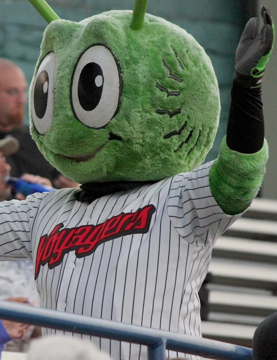 Orbit (Great Falls Voyagers) | Minor League Baseball Wiki | Fandom