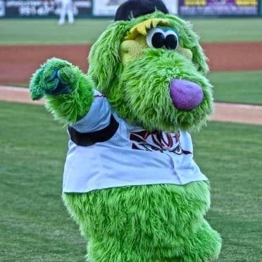 Mini Thunder | Minor League Baseball Wiki | Fandom