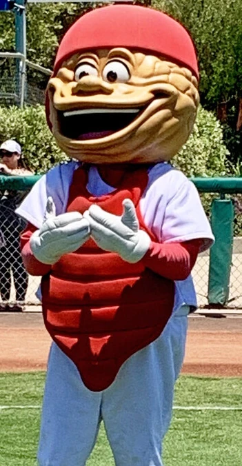 Wally the Walnut | Minor League Baseball Wiki | Fandom