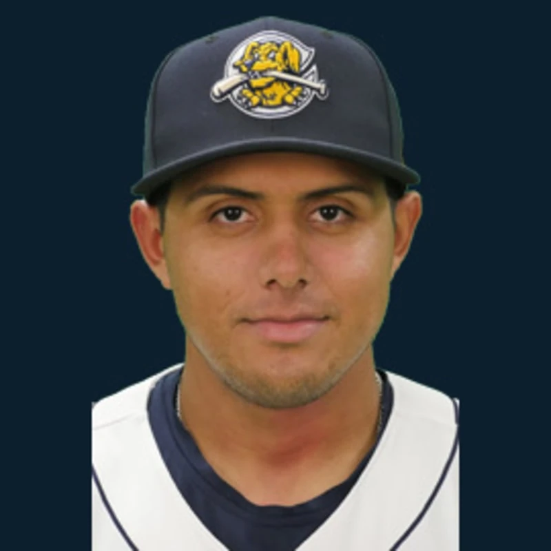Carlos Vidal | Minor League Baseball Wiki | Fandom