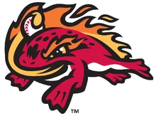 Florida Fire Frogs | Minor League Baseball Wiki | Fandom