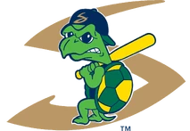 Midwest League/Teams | Minor League Baseball Wiki | Fandom